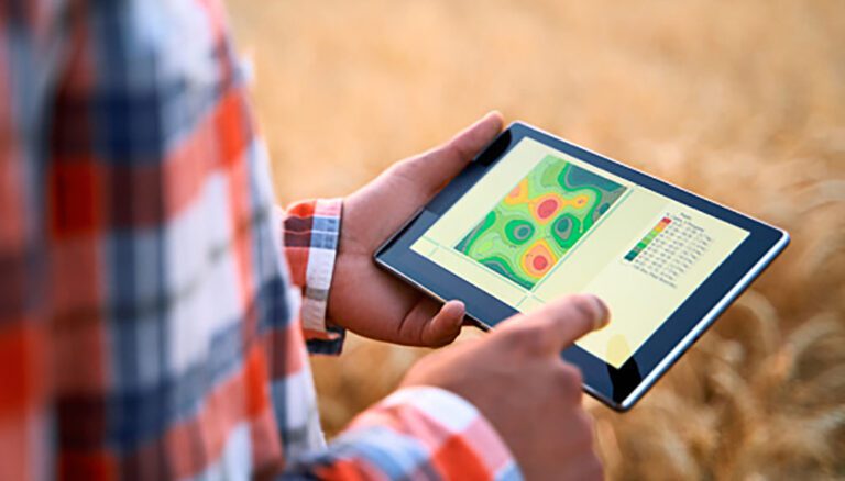 Weather Data APIs: Real-Time & Historical Weather Data Insights